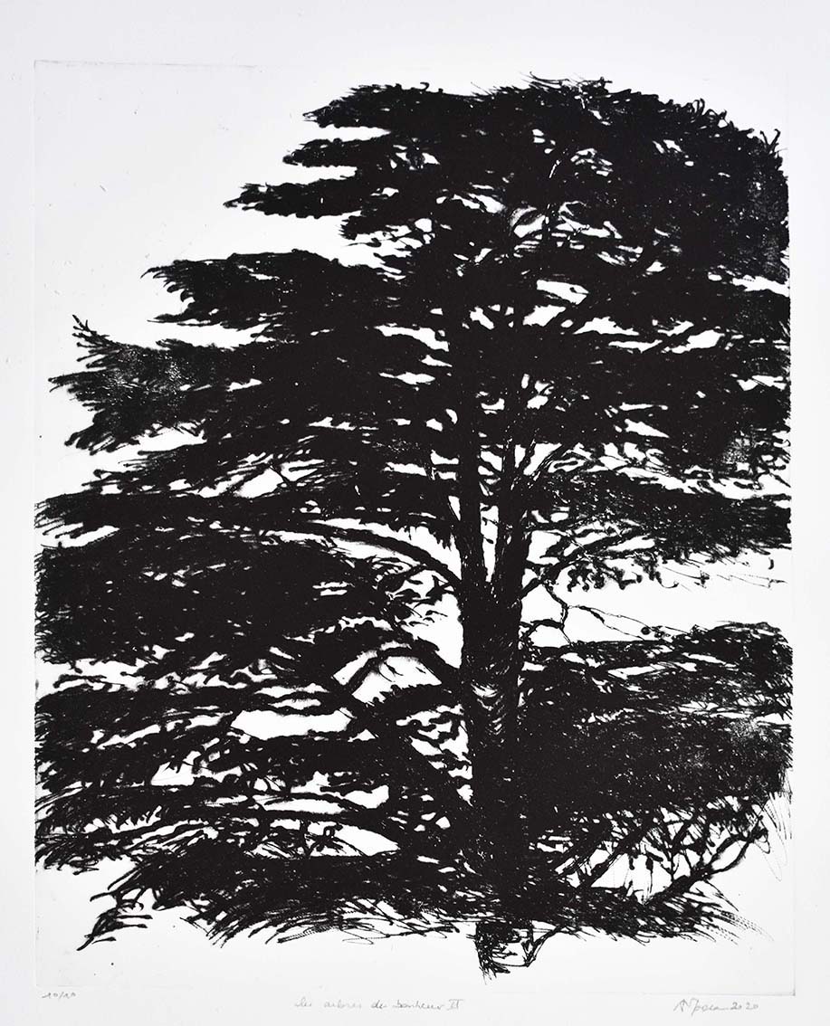 Les arbres - gravures - Anne Morea